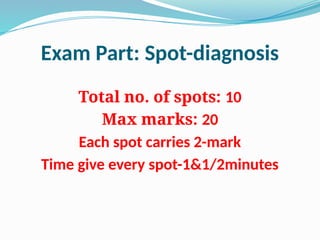 1. Final year 2nd terminal-spots-group A (2).pptx