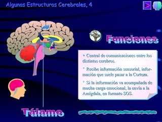 1.CEREBRO Humano para realizar trabajos de universidad o instituto | PPT