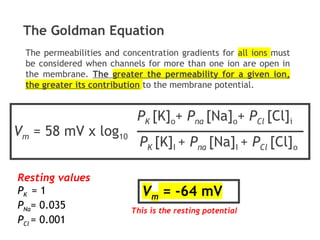1.3 The Goldman Equation and how to use it. | PPTX