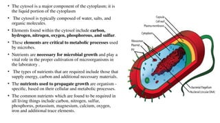 1. Classification of Bacteria and nutritional requirements, | PPTX