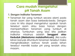 1. cara mengetahui ph tanah secara sederhana.pptx