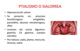 1._CAVIDAD_BUCAL_GLÁNDULAS_SALIVALES_Y_ESÓFAGO[1].pdf