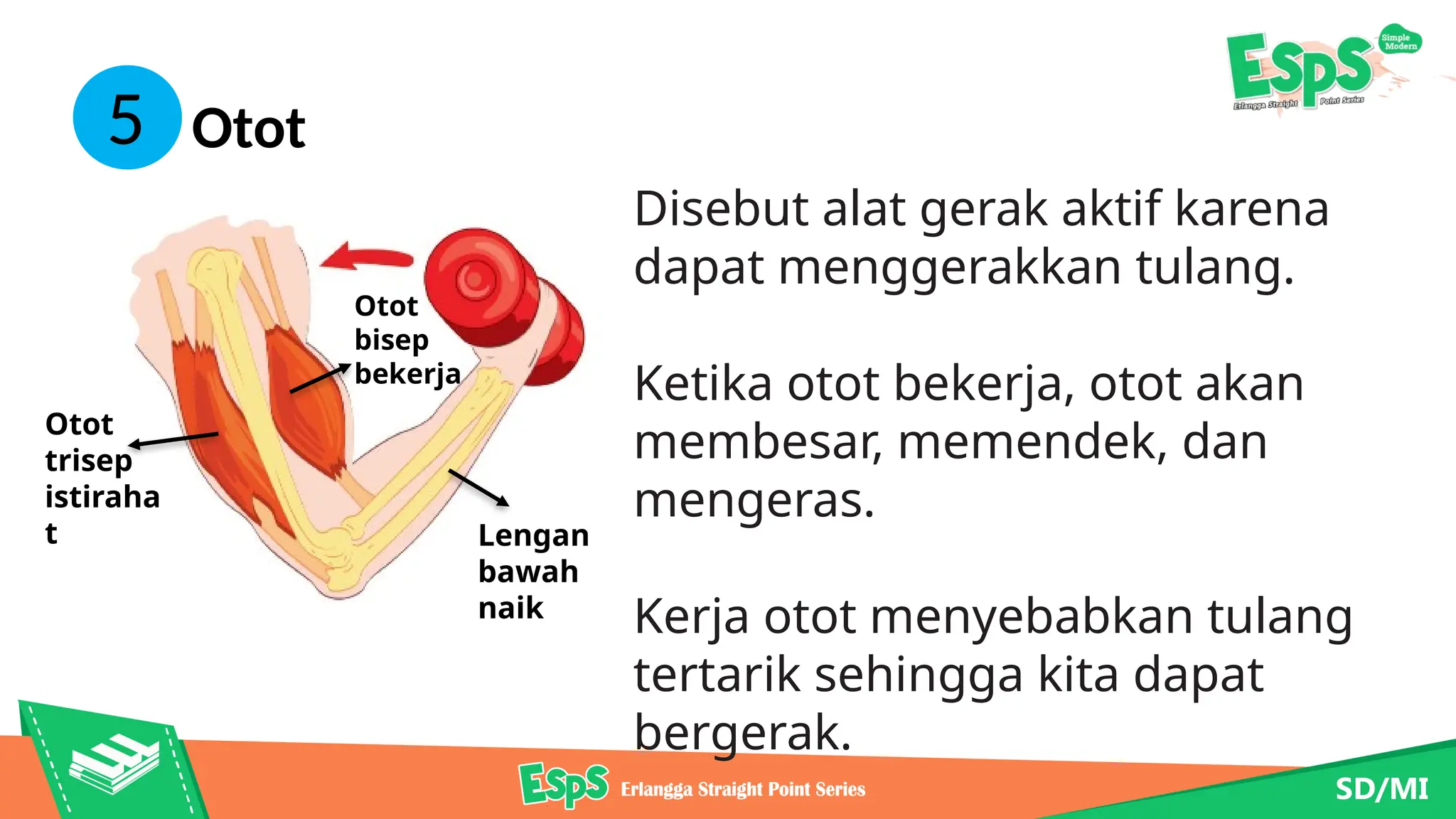 alat gerak pada manusia, tulang,otot, sendi | PPTX