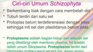 1. Schizophyta_Sistematika Tumbuhan Rendah.pptx