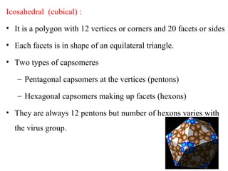 General Virology Obligate intracellular parasites | PPT
