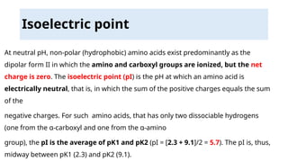 1. 2025 Amino acids. Properties of proteins.pptx
