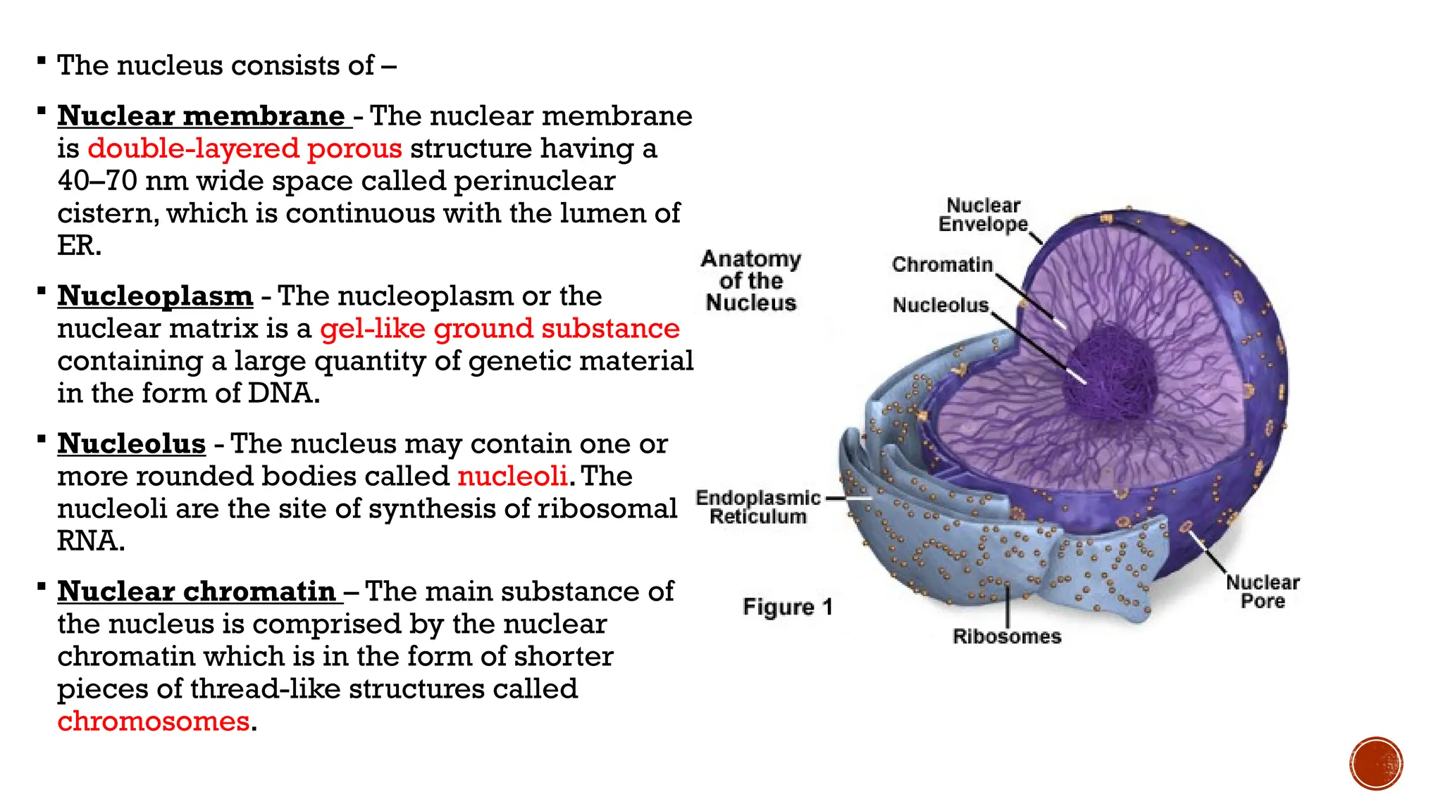 STRUCTURE AND FUNCTION OF CELL PART 1.pptx