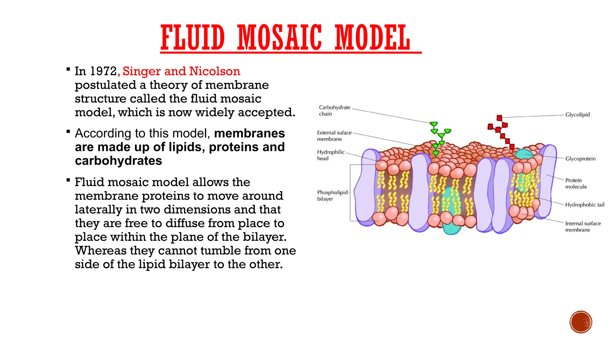 STRUCTURE AND FUNCTION OF CELL PART 1.pptx