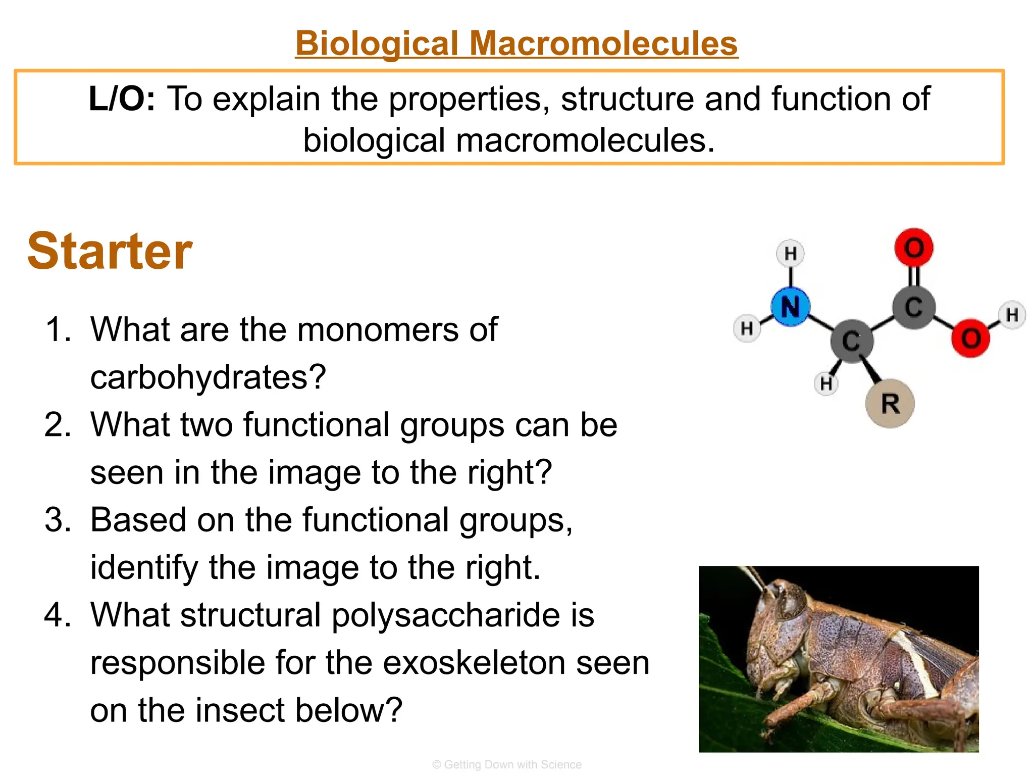 1.4, 1.5 & 1.6 Properties, Structure and Functions of Biological ...