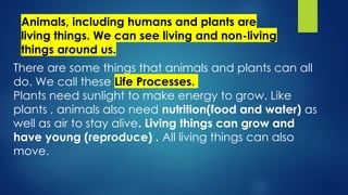 science different animals Life processes.pptx