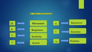 science different animals Life processes.pptx