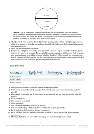 1.17- Starch Hydrolysis - Biology LibreTexts.pdf
