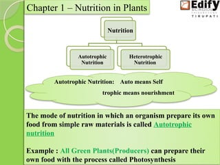 Nutrition in plants cbse class seven science | PPTX
