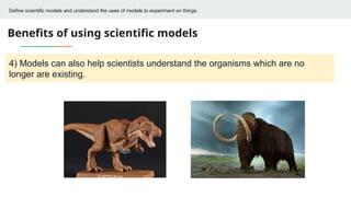 Steps of the Scientific Model for grade 6.pptx