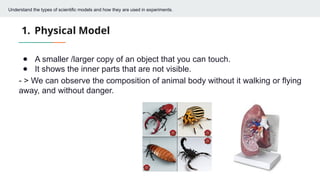 Steps of the Scientific Model for grade 6.pptx