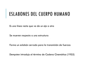 1. Planos y Ejes del cuerpo humano - Fisioterapia | PPTX
