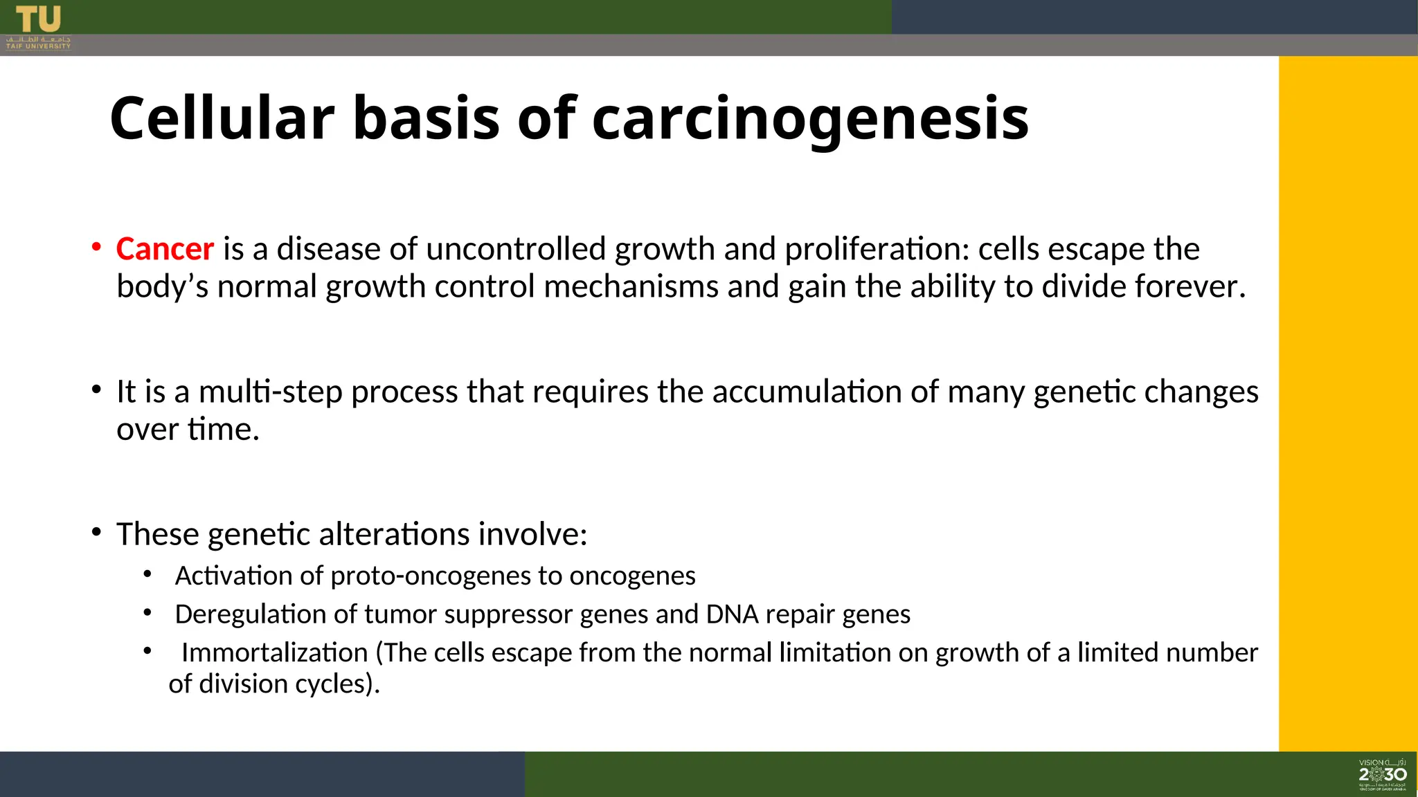 1. Molecular basis of cancer (1).ppt...... | PPT