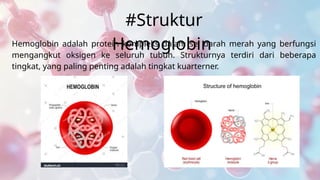 1. Metabolisme Hemoglobin pada manuisa hidup | PPTX