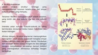 1. Metabolisme Hemoglobin pada manuisa hidup | PPTX