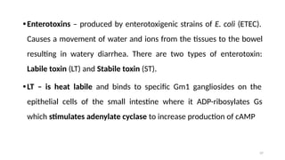 1. Enterobacteriaceae Document for stude | PDF