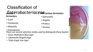 1. Enterobacteriaceae Document for stude | PDF