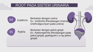 1.terminology medis penyakit dan masalah kesehatan pada system ...