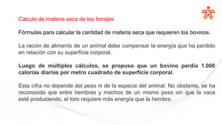 Calculo de MS para suplementación en bovinos.pptx