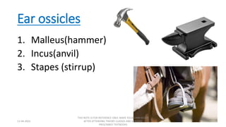 Sense of hearing , physiological anatomy anatomy ear | PDF
