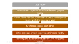 Sense of hearing , physiological anatomy anatomy ear | PDF
