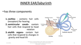 Sense of hearing , physiological anatomy anatomy ear | PDF
