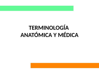 1. TERMINOLOGIA ANATOMICA, clases de anatomia | PPTX