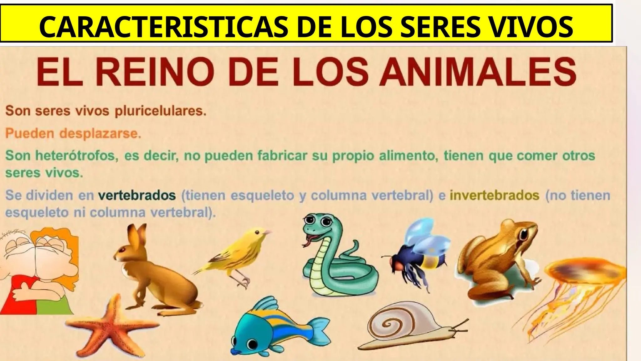 1. Características de los seres vivos.pptx