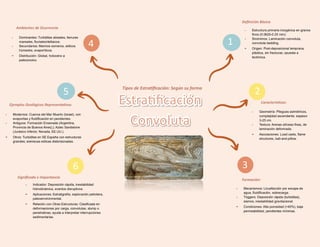 Estratificación convoluta y estratificación imbricada , mapas mentales ...