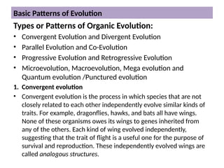 1. General Patterns of the Evolution.pptx