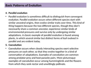 1. General Patterns of the Evolution.pptx