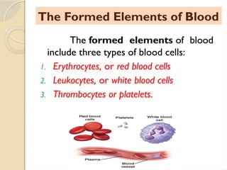 1. Blood and its components.pptx anatomy | PPTX