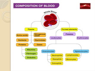1. Blood and its components.pptx anatomy | PPTX