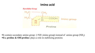 Amino acids chemistry (classification & biological peptides) | PDF