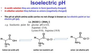 Amino acids chemistry (classification & biological peptides) | PDF