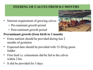 1...Feeding of Cattle and Buffalo - Feeding-Cattle-and-buffalo (5).pptx