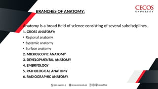 Introduction to general gross anatomy.pptx