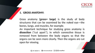 Introduction to general gross anatomy.pptx