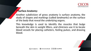 Introduction to general gross anatomy.pptx