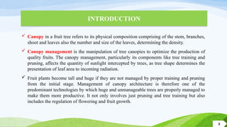 Presentation on canopy mangement in fruit crops.pptx