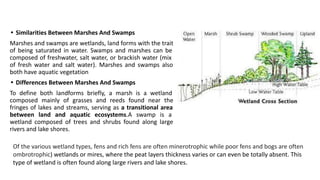 1. Wetlands uploaded.pptx.pdf management and types | PDF