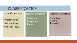 1.2 tissue,Bone, Cartilage anatomy .pptx