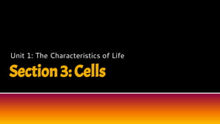 1.3 Section 3: Cells, unit 1: The characteristics of life | PDF