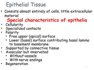 anatomy about human body based on that tissue | PPTX