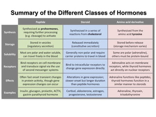 1. Hormones IN THE HUMAN BODY AND THEIR FUNCTION | PPT
