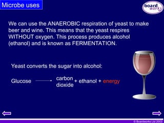 Microbial diseases in Medical microbiology | PPT